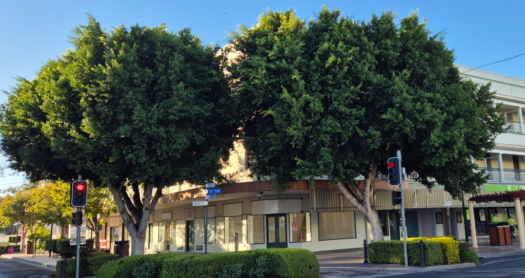 Moree Plains Shire Council Offering short-term $1 leases at Max Centre ...