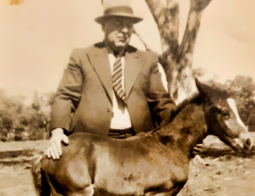 1891-1962: Bill McKechnie’s legacy to Moree - Moree Online News