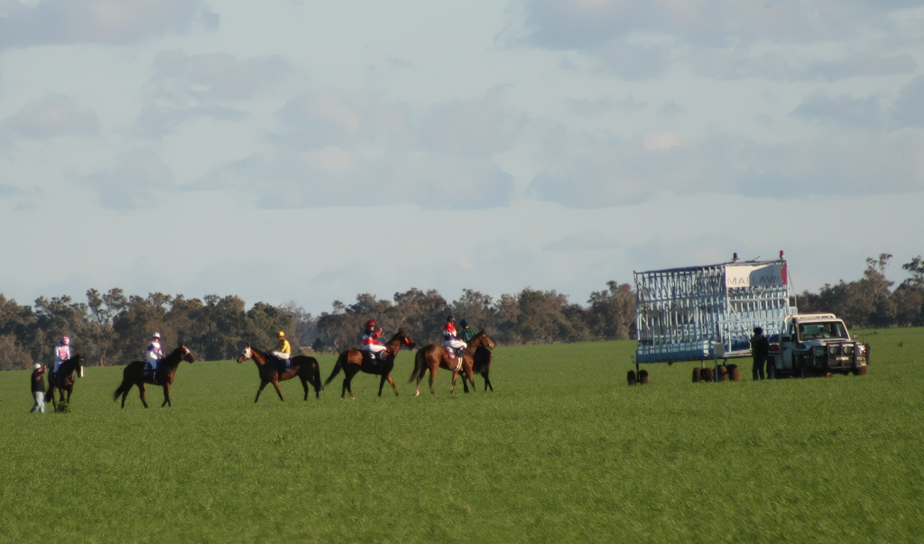 Mallawa picnic races jump from the barriers June 7 - Moree Online News