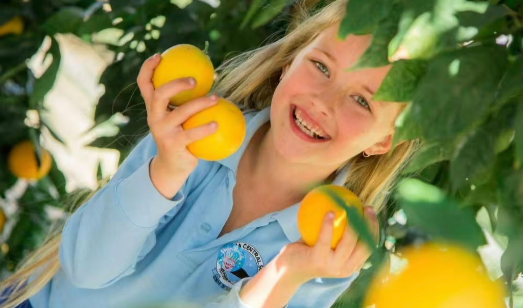 Bingara Orange Festival July 4-5 offers something for everyone - Moree ...